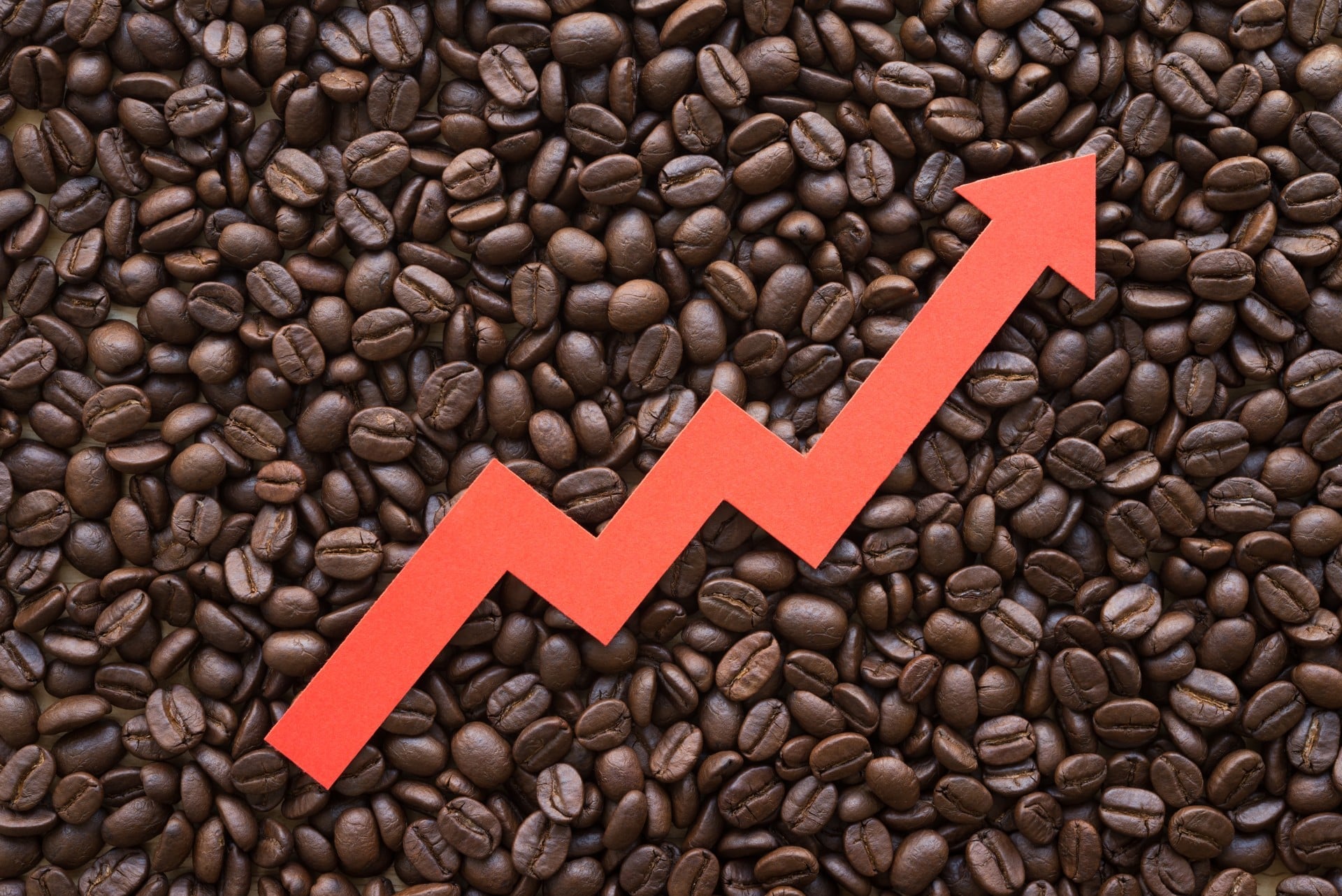 COFFEE PRICING EXPLAINED – Seven Trees Coffee